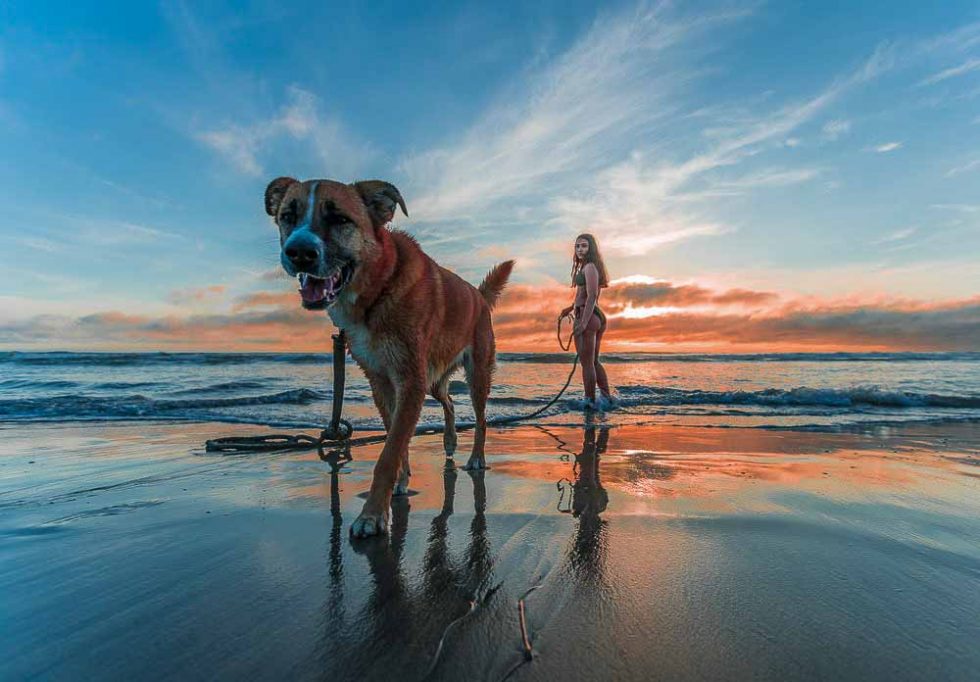 Fotokursus: DIGITAL FOTOGRAFERING | Fotograf Silkeborg